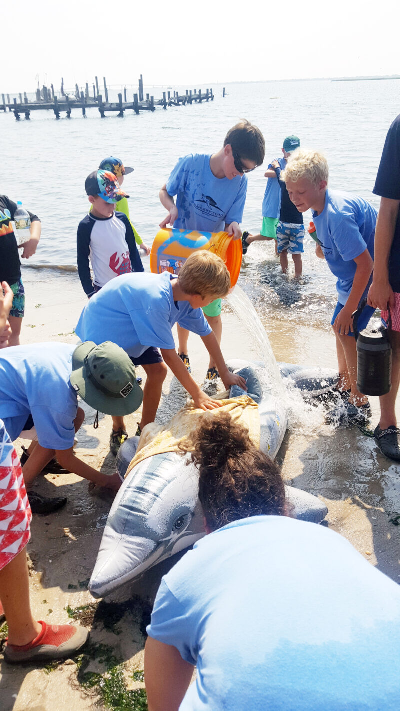 About Us | New Logic Marine Science Camp