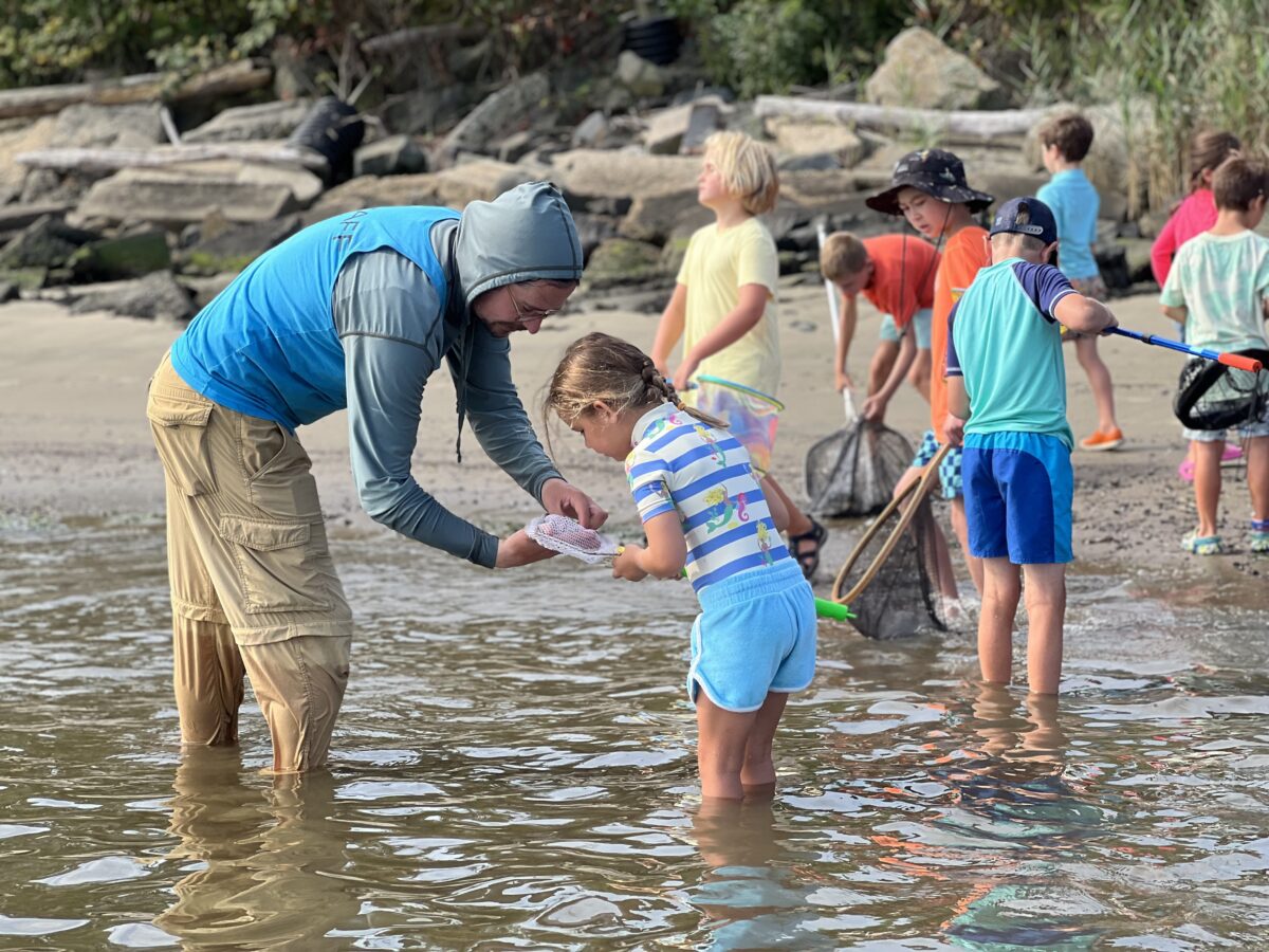 Diving Deeper Into Ocean Education | New Logic Marine Science Camp